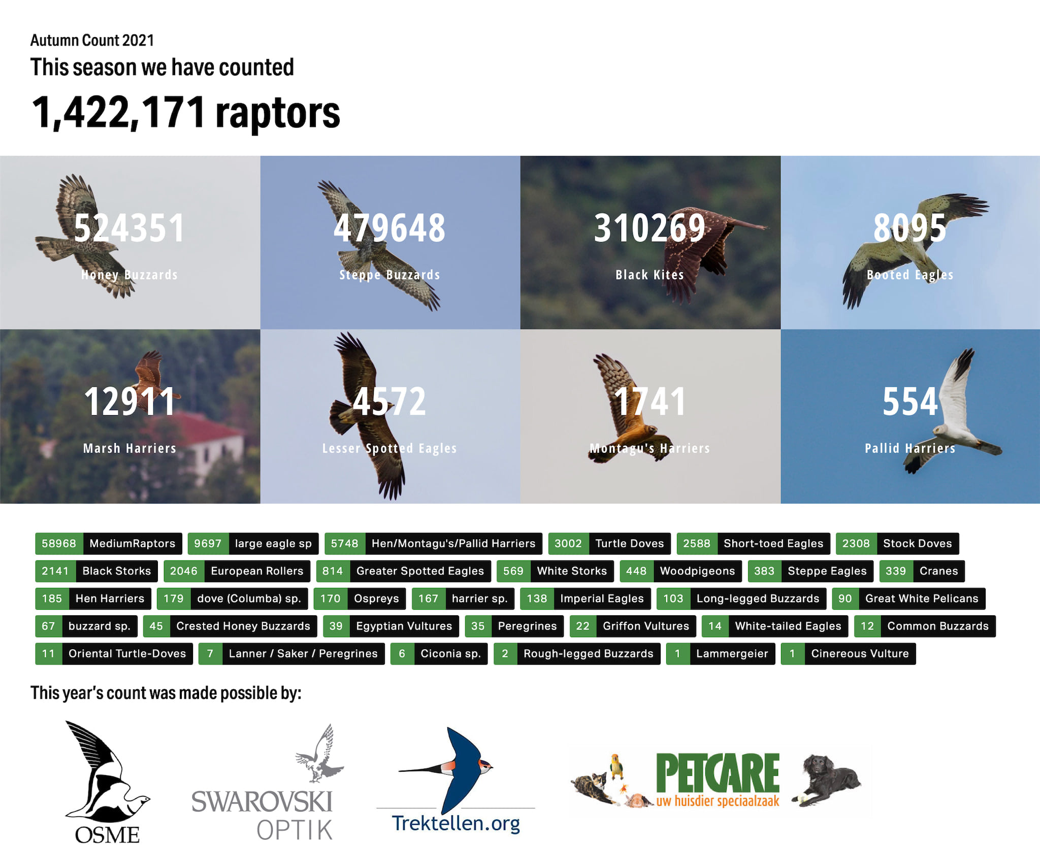 Batumi Raptor Count 2021 | News | Working Group on Raptors of Northern ...